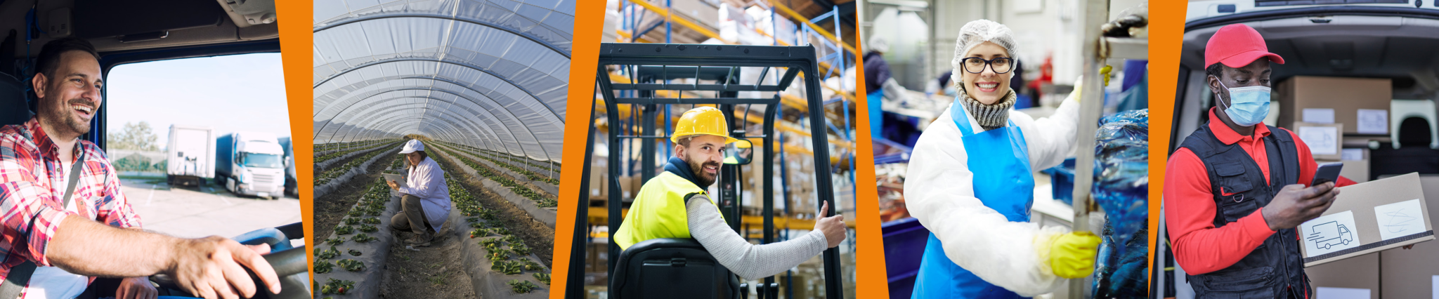 Home - Sure Staffing